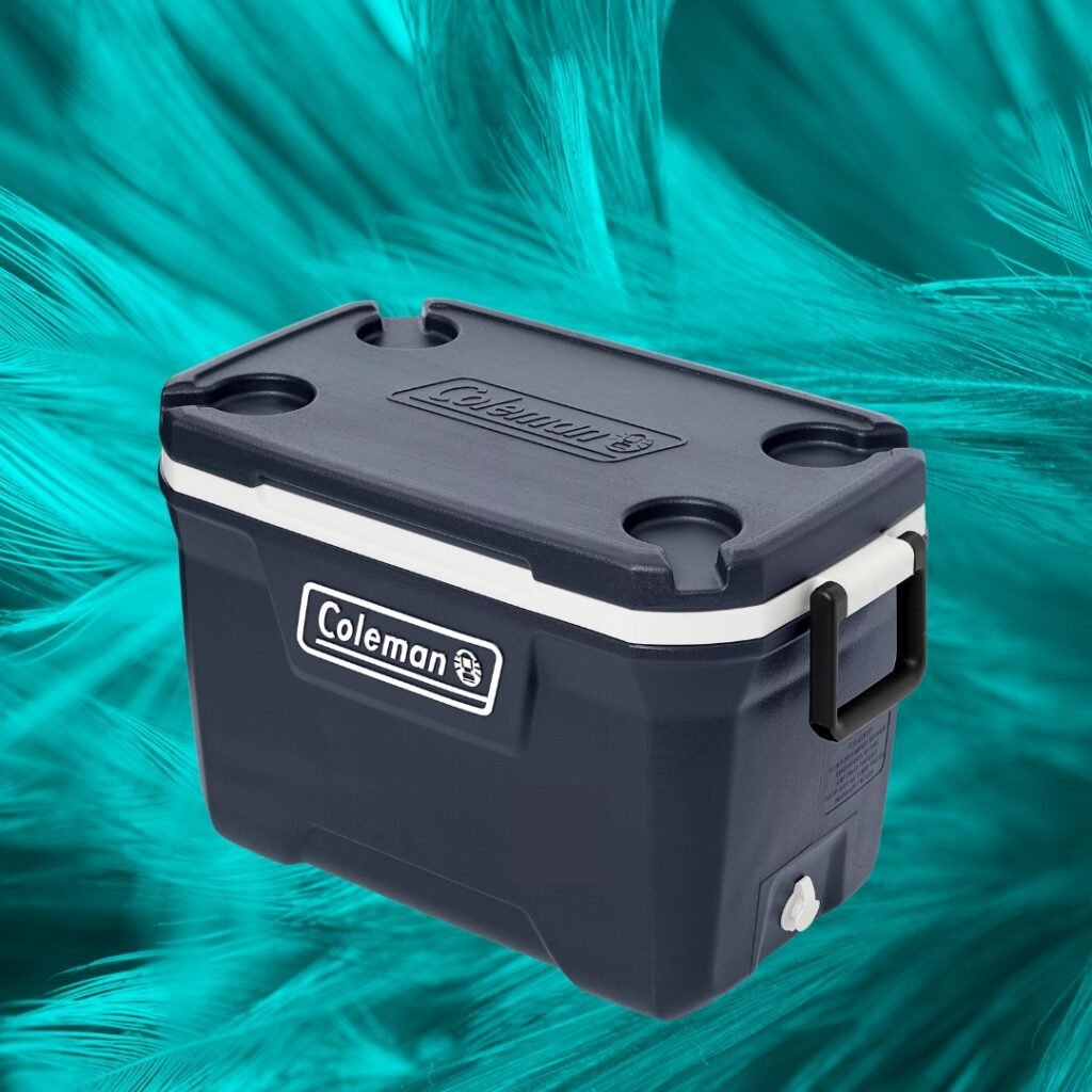 8 AMAZING COOLER BOXES FOR CAMPING - ebazaronline.pk